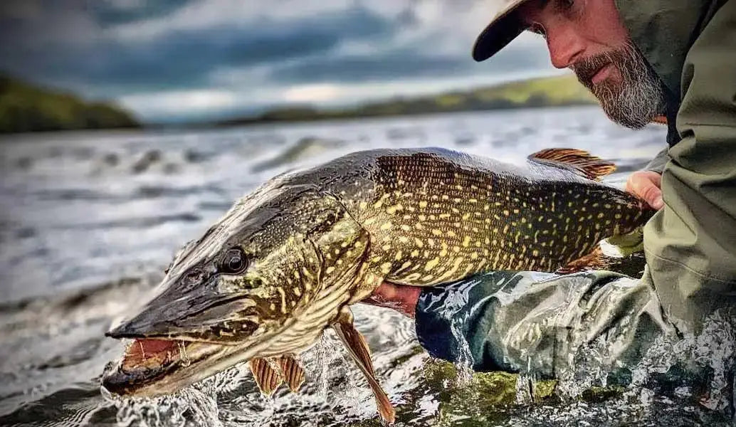 Predator & Lure Hooks for results - SPRITE Fishing